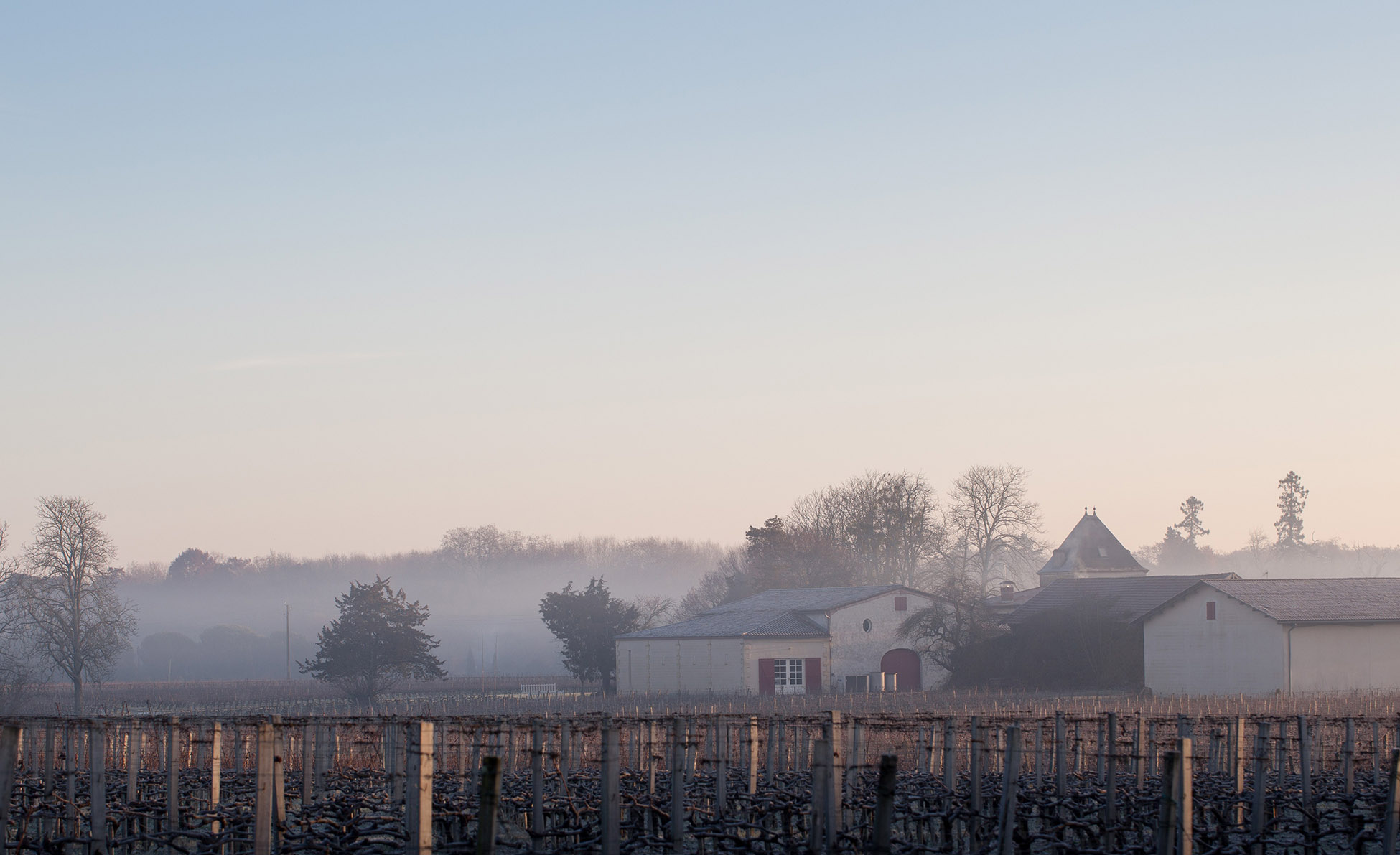 Domaine de Grandmaison : Pessac-Léognan Blanc et Rouge
